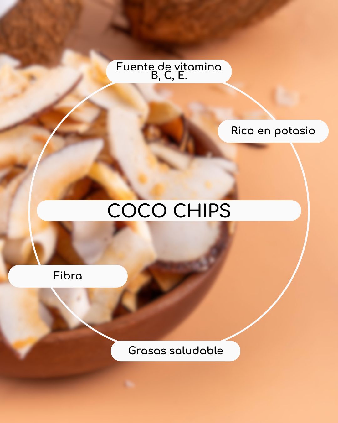 Coco – ABITA Smart Foods